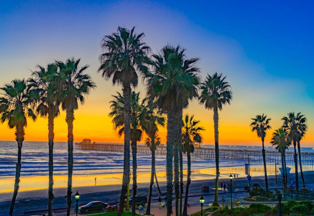 Oceanside Beaches for Enjoying Some fun in the Sun | The Brick Hotel