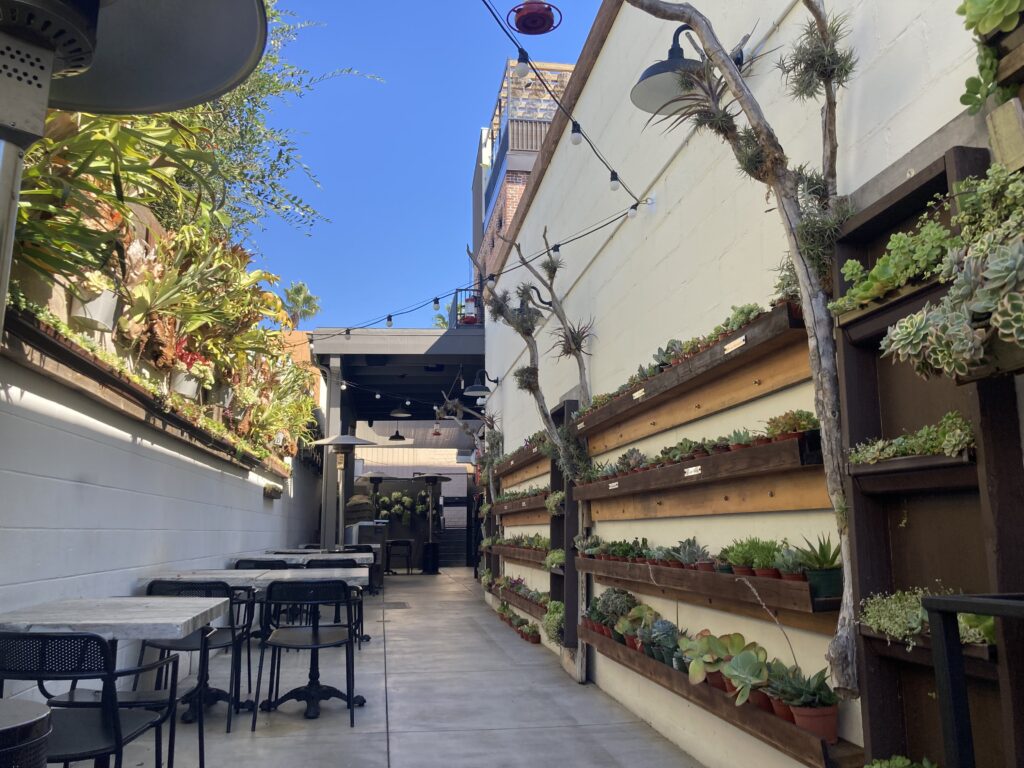 Succulent Coffee & Café - The Brick Hotel