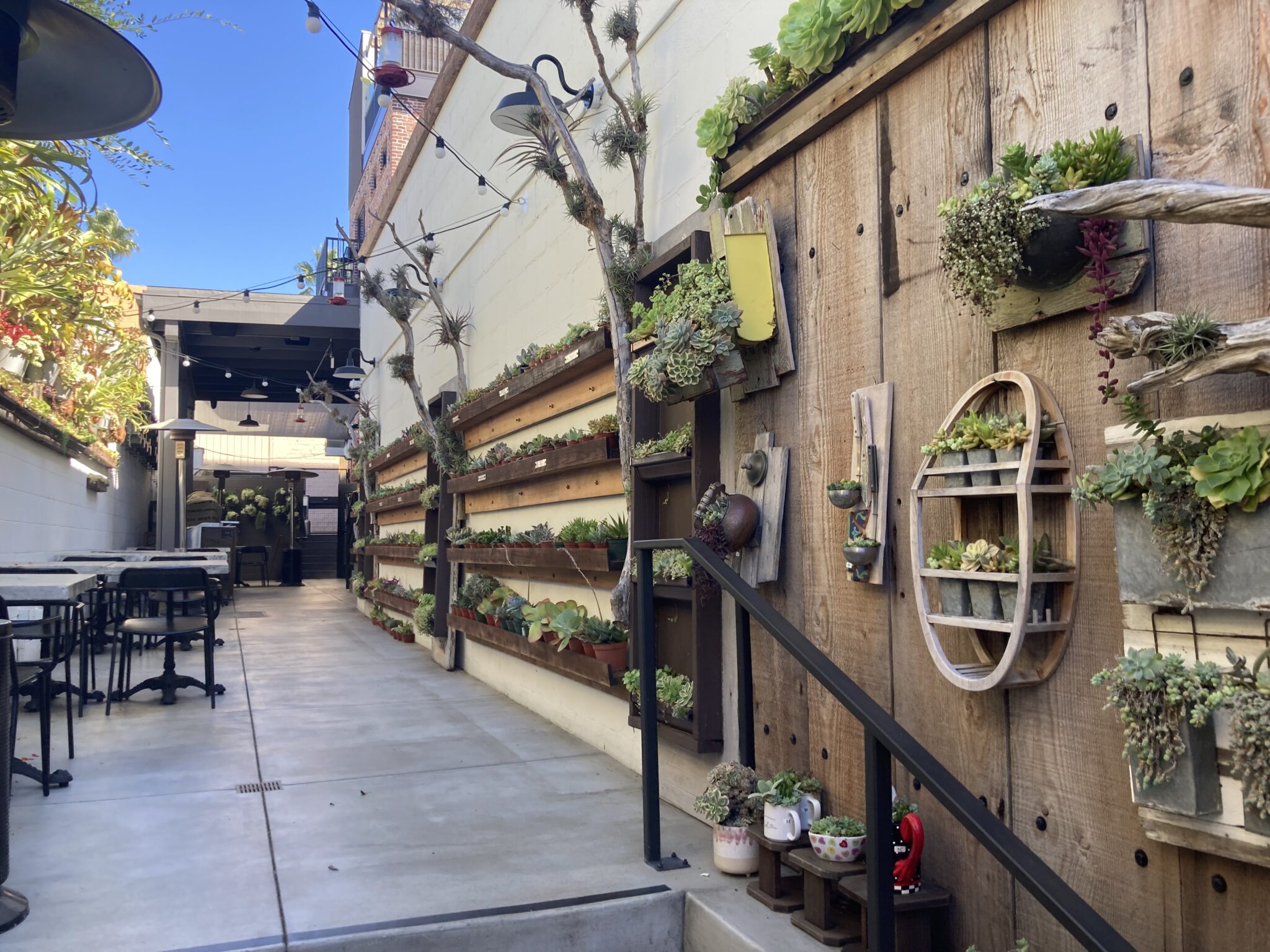 Succulent Coffee & Café - The Brick Hotel